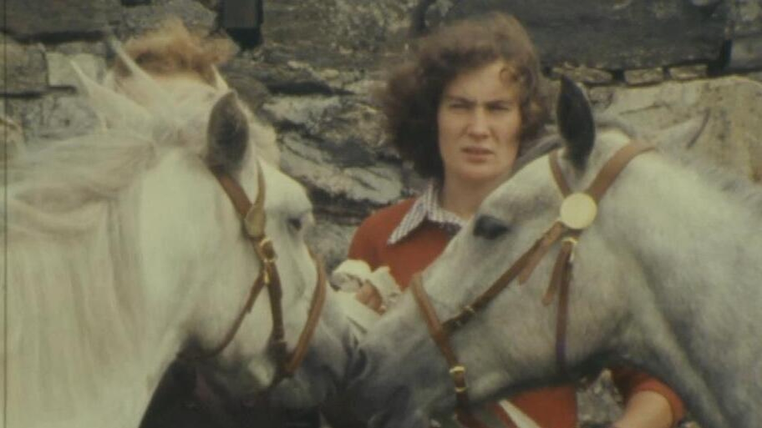 RTÉ Archives | Sports | Breeding Connemara Ponies