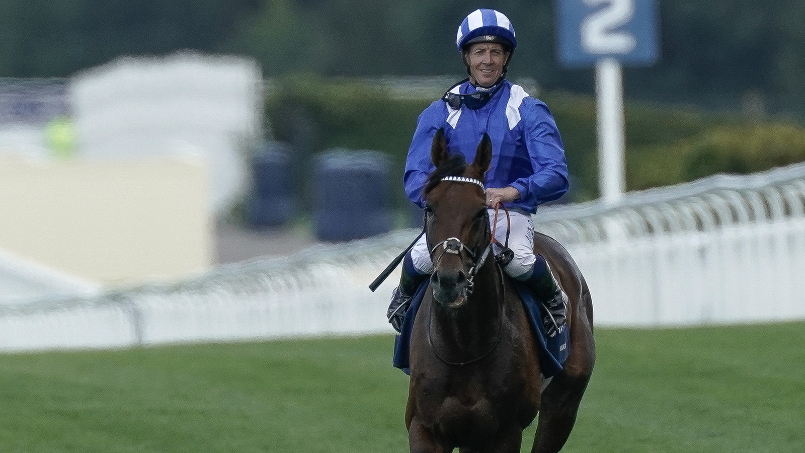 Ace Impact and Continuous given decent draws in Arc