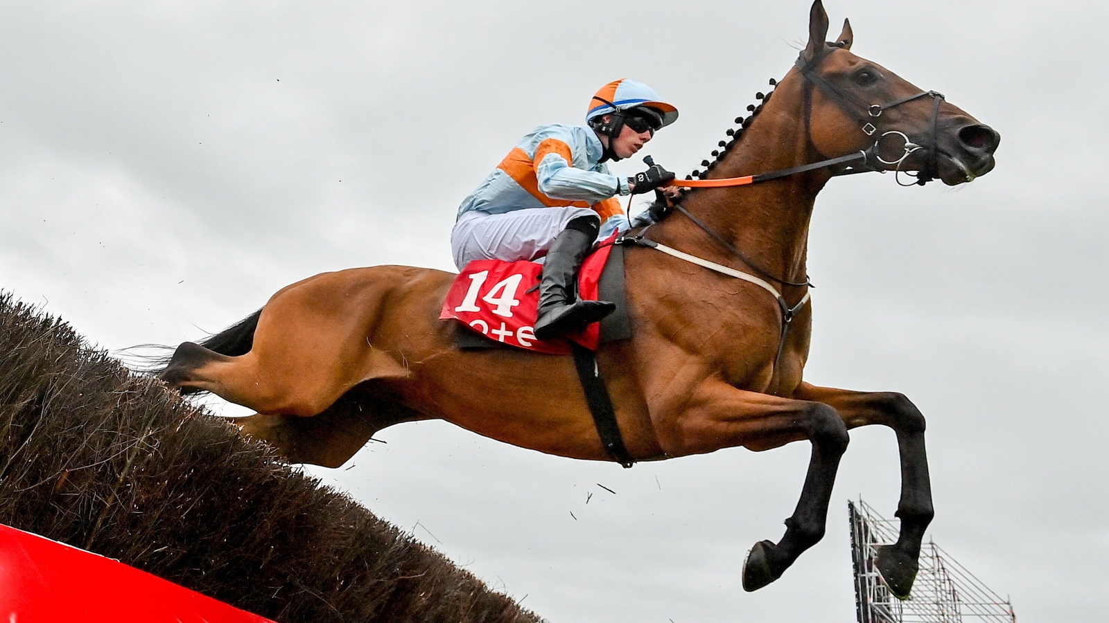 Ash Tree Meadow claims Galway plate for Elliott