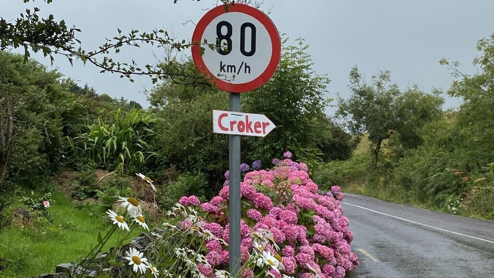 Excitement grows as camogie final 'set to be a classic'
