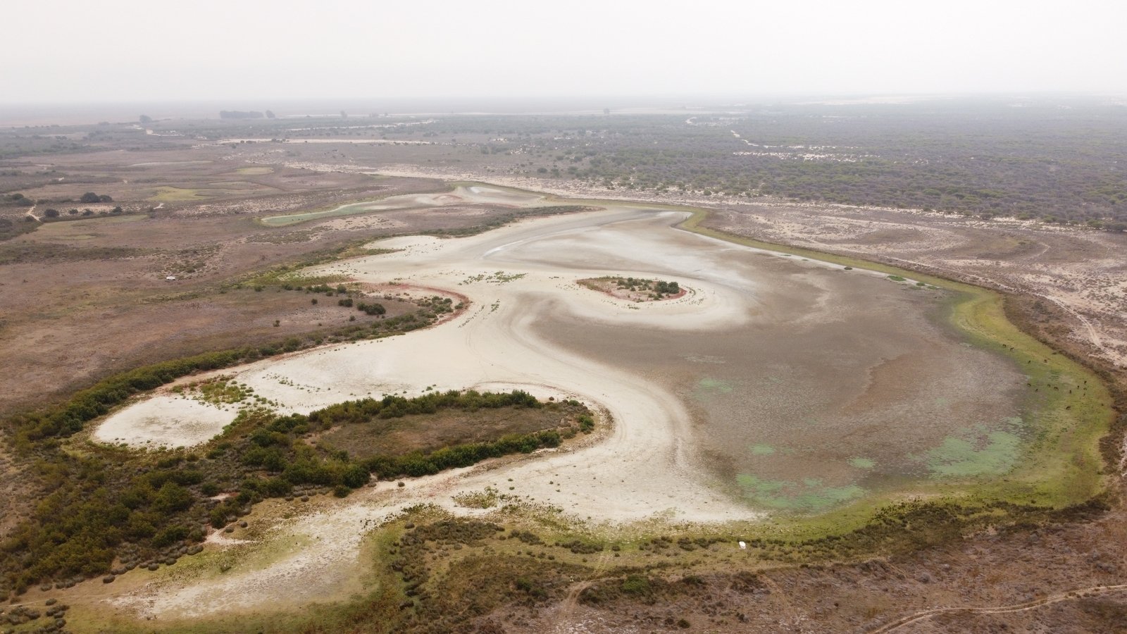 Spanish national park's largest lagoon dries up
