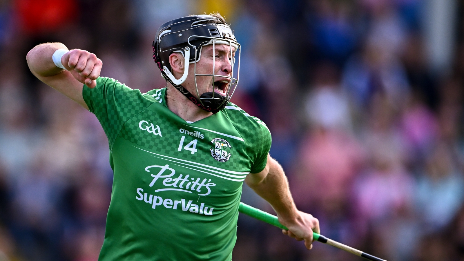 Naomh Éanna deliver a second Wexford hurling title