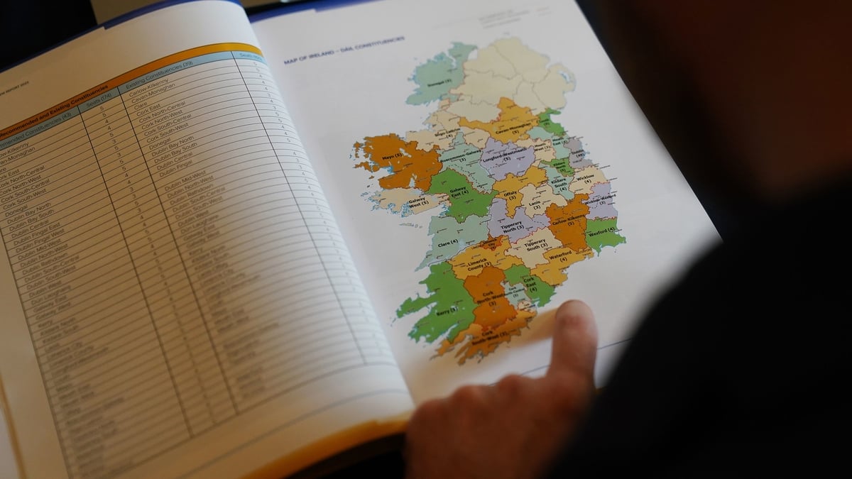 Reaction to the new electoral areas | This Week - RTÉ Radio 1
