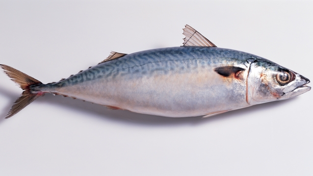 Brian McDermott affordable fish recipes