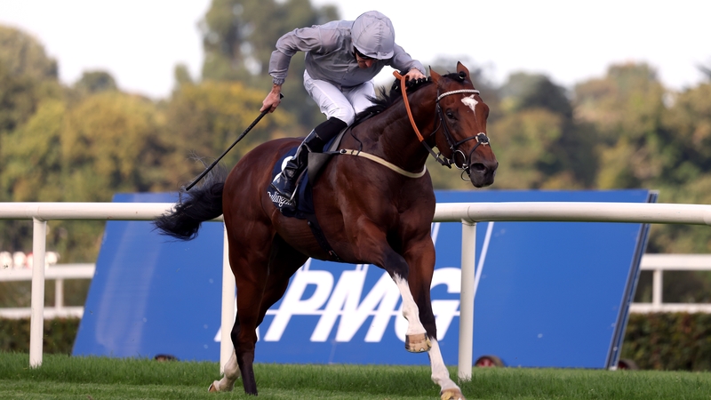 Leopardstown round-up: Flight Plan makes all