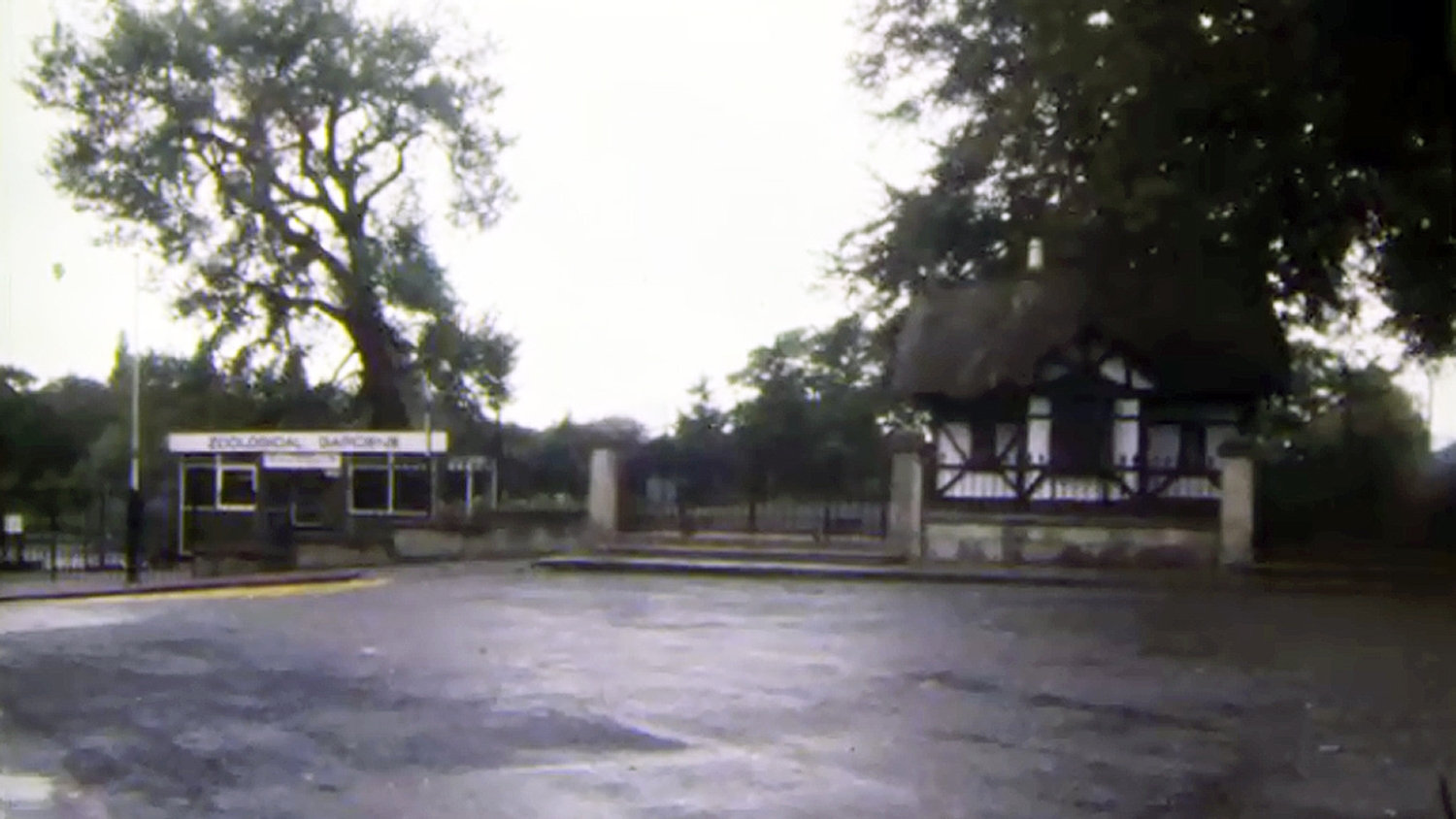 RTÉ Archives | Environment | Dublin Zoo Closed