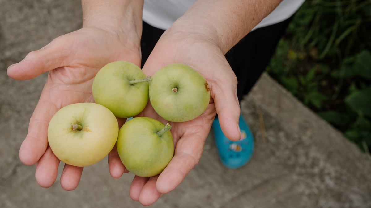 Preventing Food Waste | The Nine O'Clock Show - RTÉ Radio 1