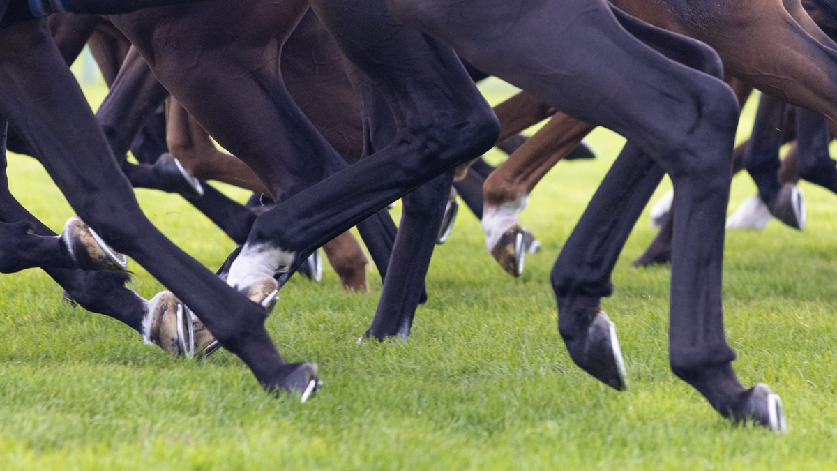 Trainer Luke Comer given three-year suspension by Irish Horse Racing ...