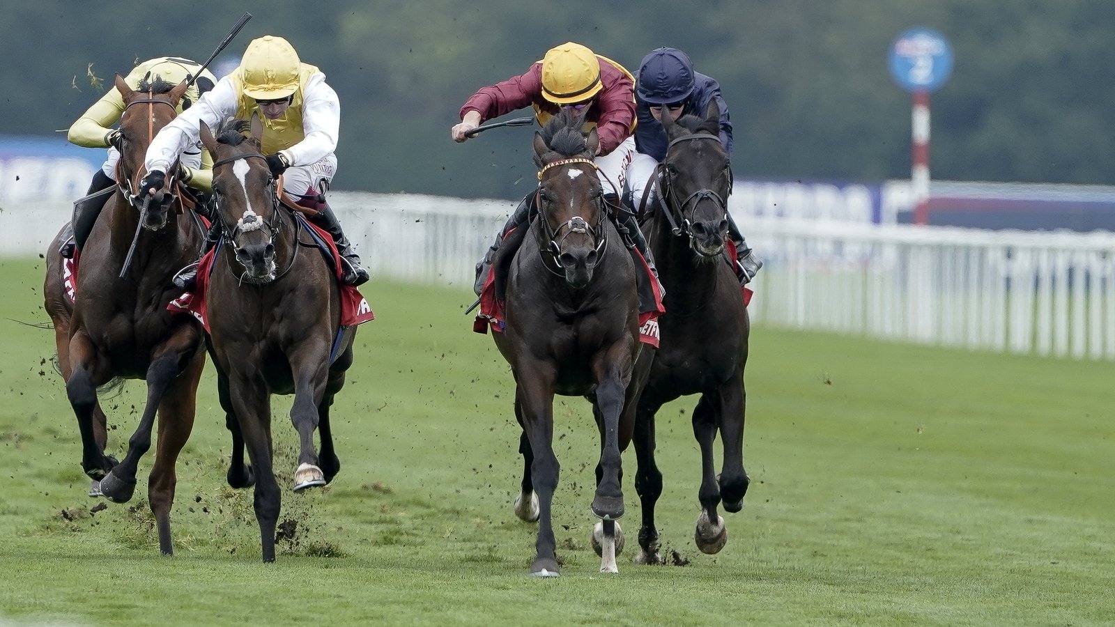 Iberian sparkles in Champagne Stakes at Doncaster