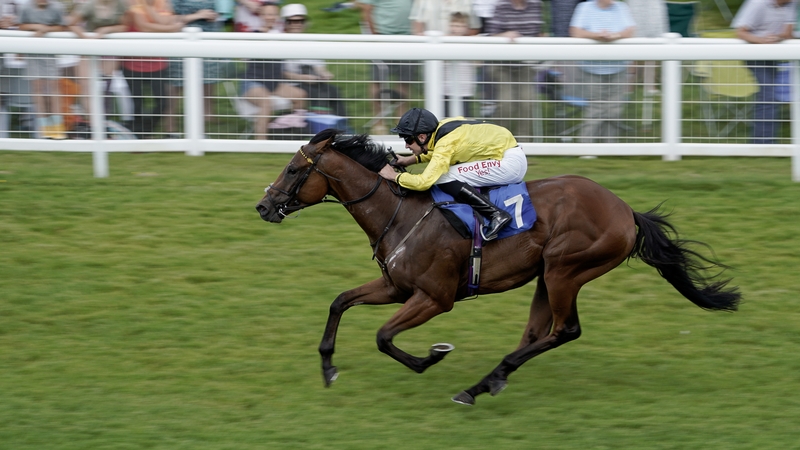 Juveniles set to tackle testing going in Mill Reef