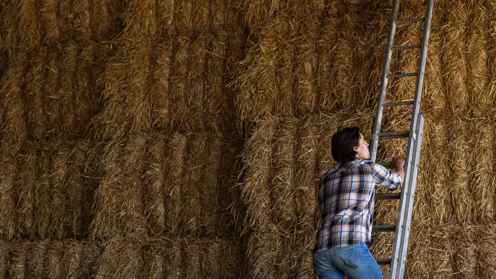 Campaign to focus on working at height in agriculture