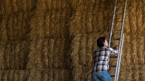 Campaign to focus on working at height in agriculture
