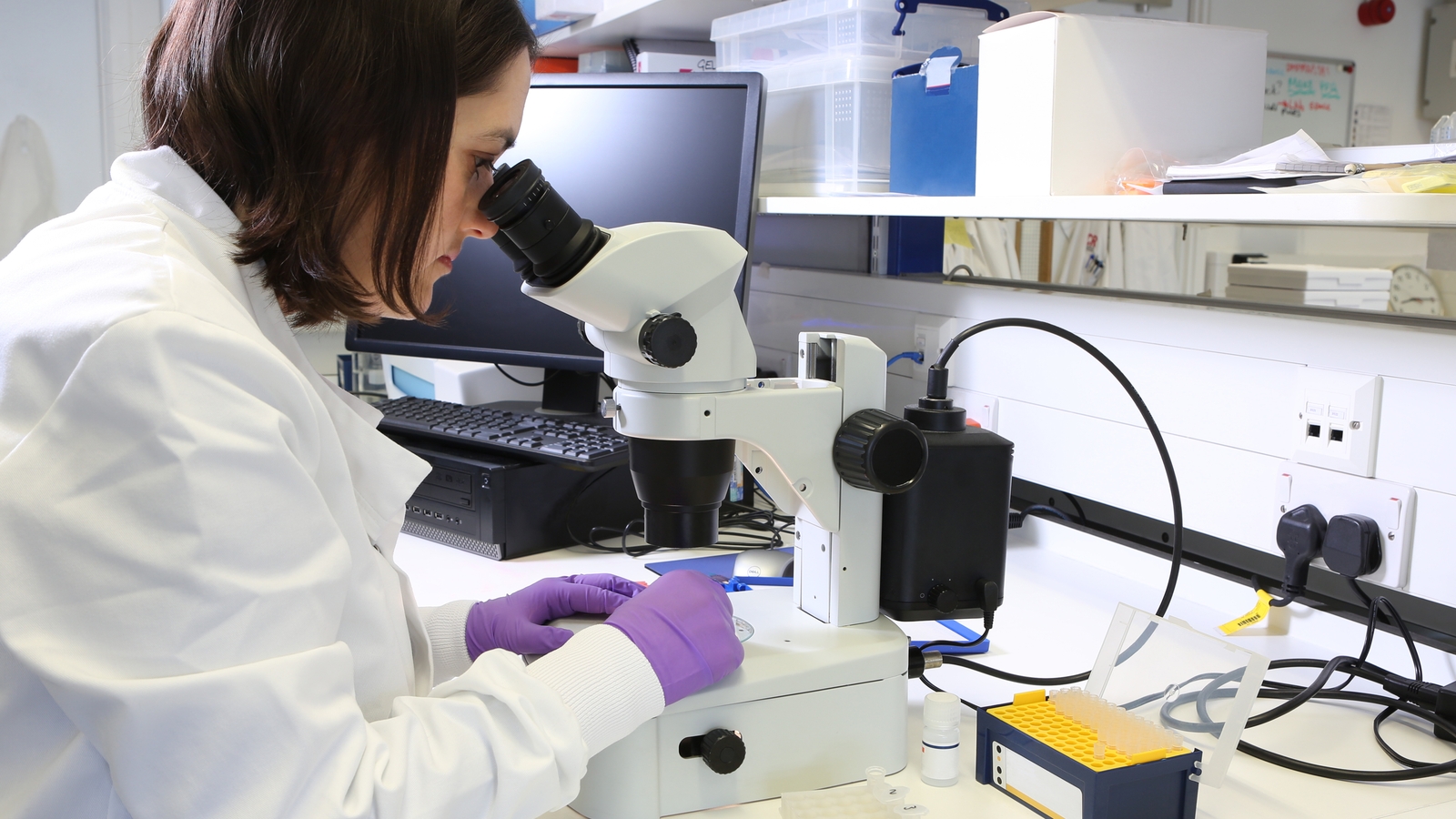 €2m provided for breast cancer research in Galway