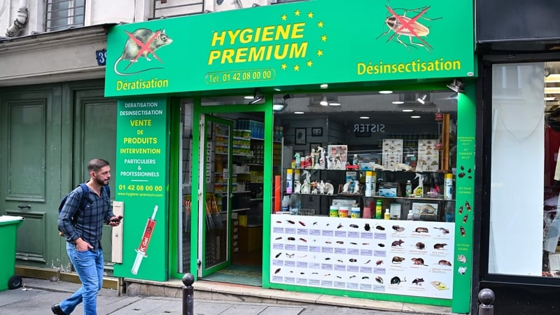 France to hold crisis meetings on bedbug 'scourge'