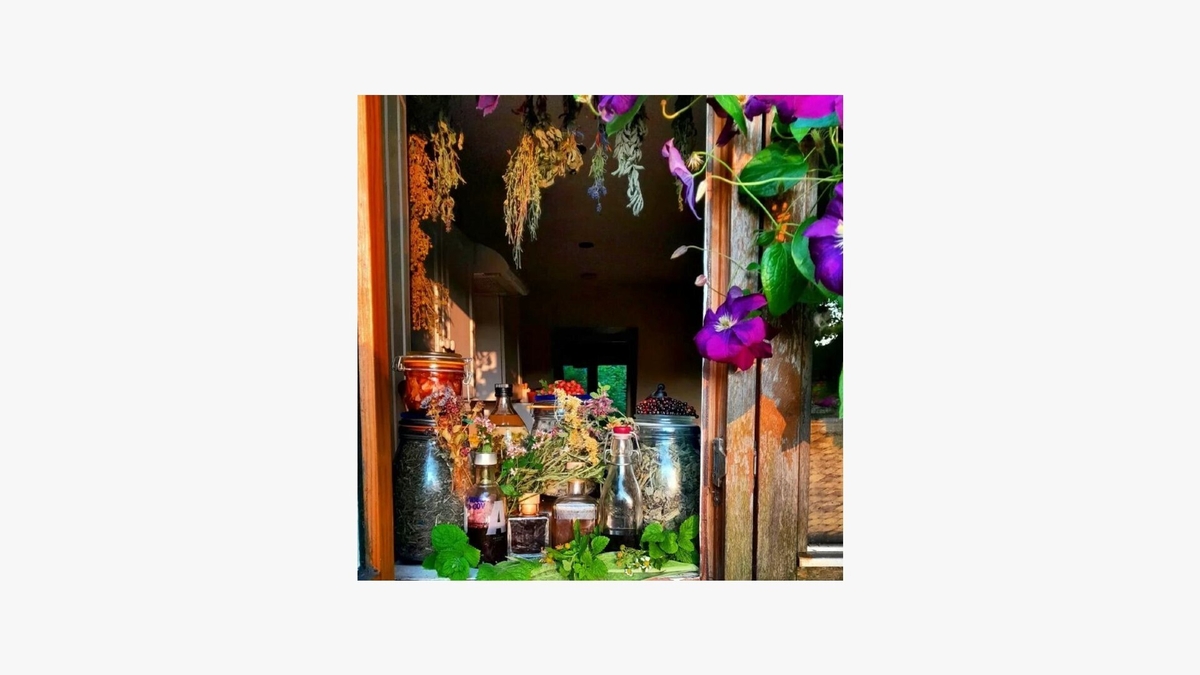 Foraging & Wildcrafting | The Nine O'Clock Show - RTÉ Radio 1