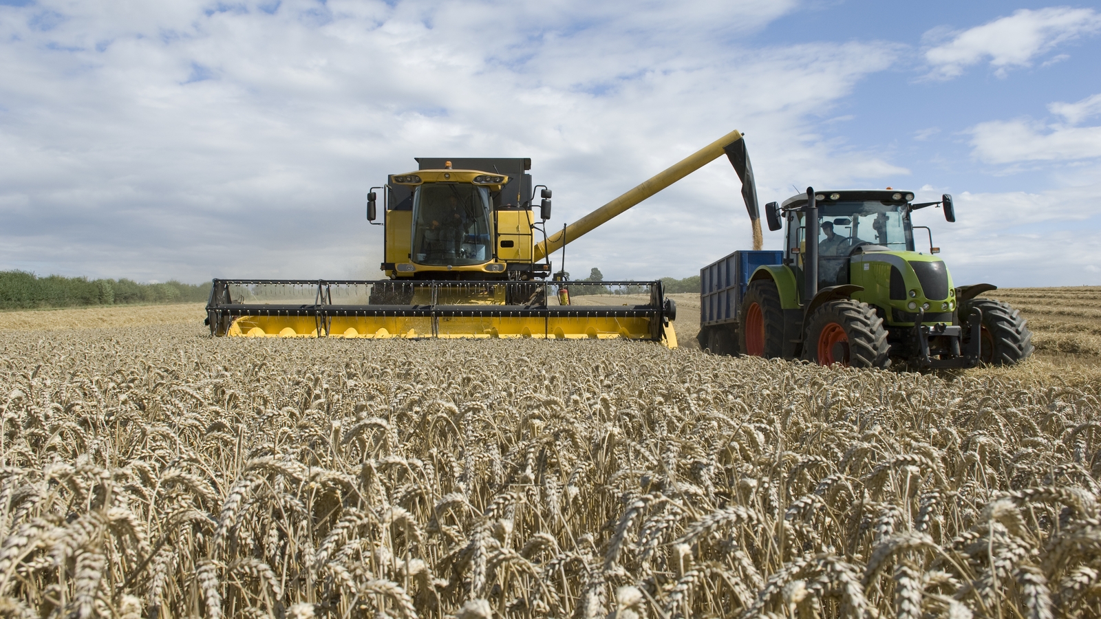 Values-led approach to food security required - DCU