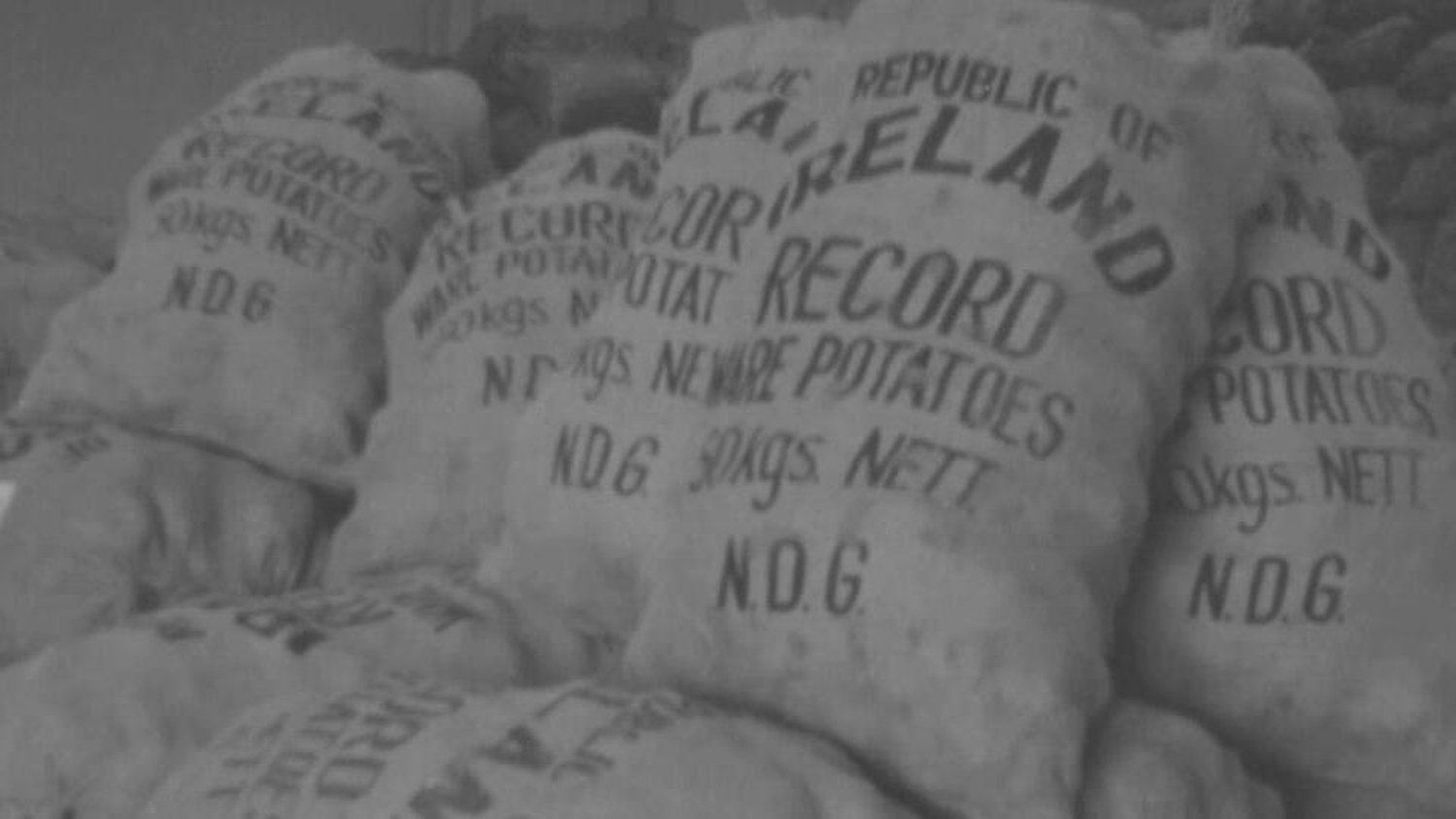 RTÉ Archives | Environment | Irish Spuds For Europe