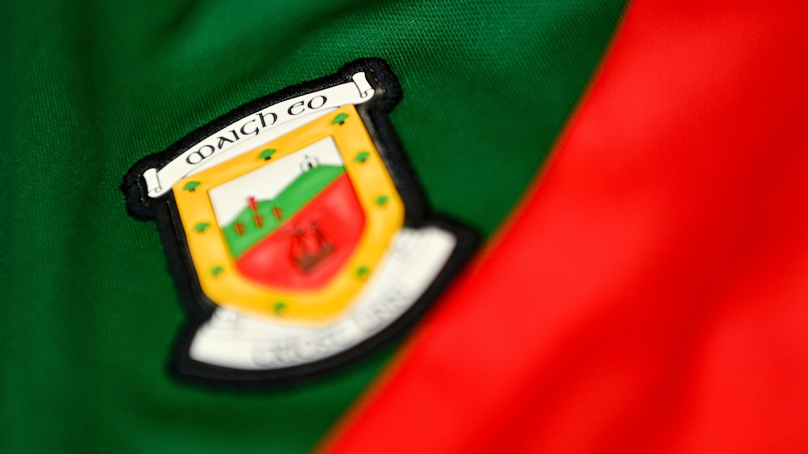 Larkin and Finn ratified as Mayo's hurling management