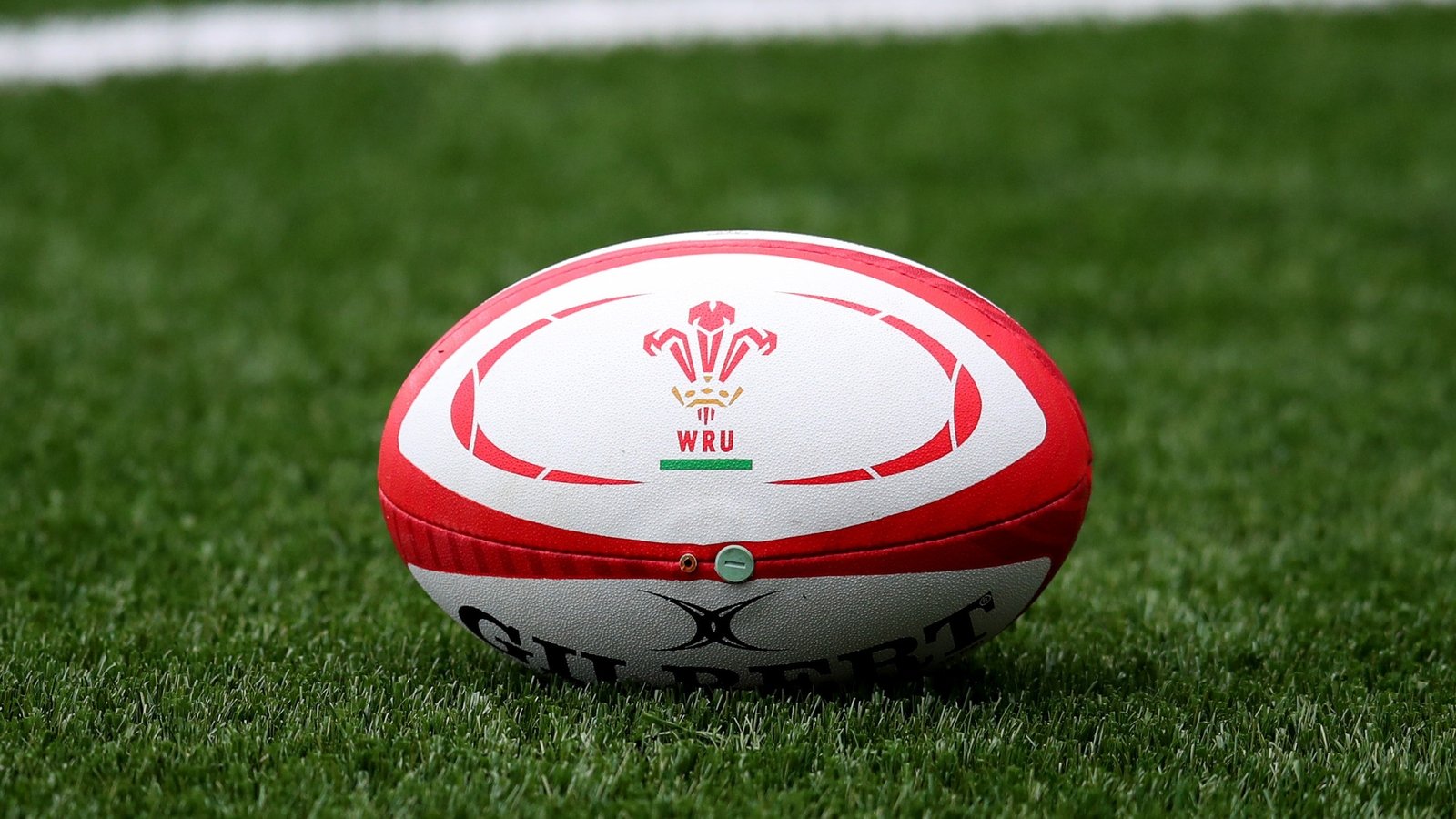 Review reveals 'toxic' WRU environment