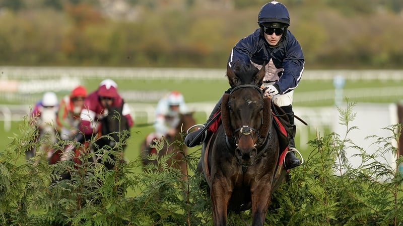 Foxy Jacks wins at Cheltenham for Morris