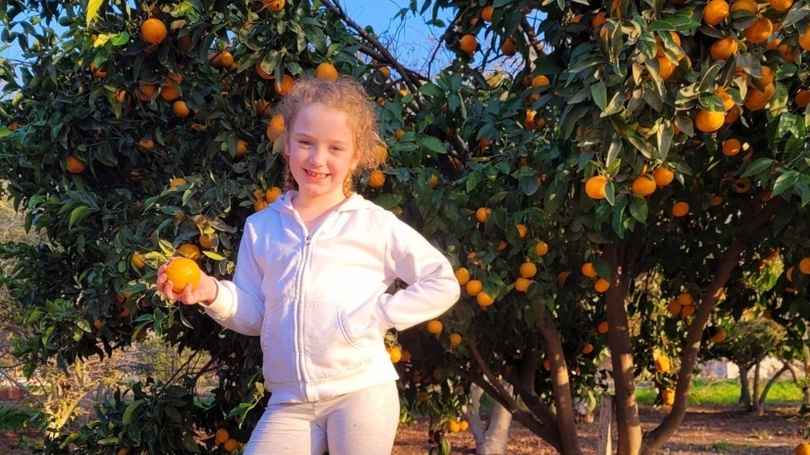 As it happened: Emily Hand released by Hamas