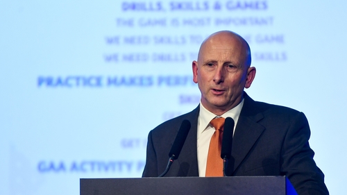 Fogarty: Hurling taskforce needed to save the game