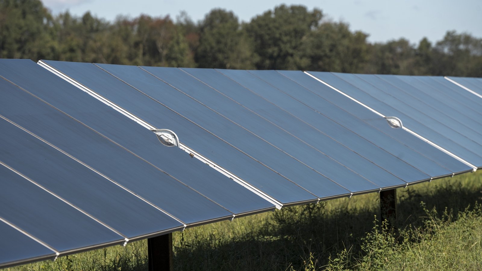 Elgin Energy sells 16 Irish solar projects to Allianz
