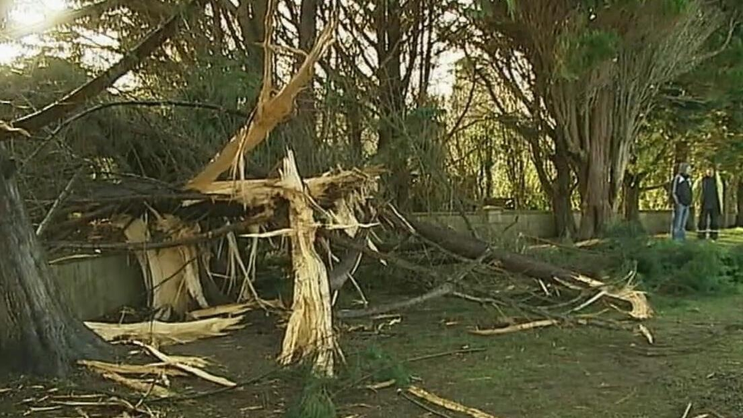 RTÉ Archives | Environment | Crusheen Lightning Strike