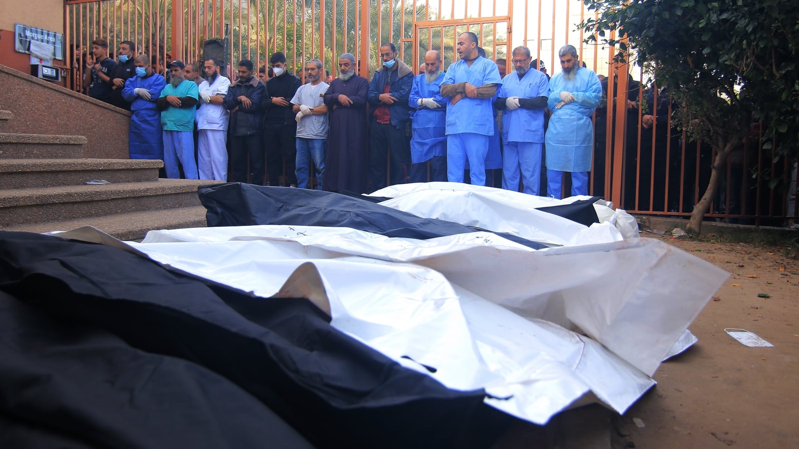 As it happened: Gaza war death toll at 20,000 - govt