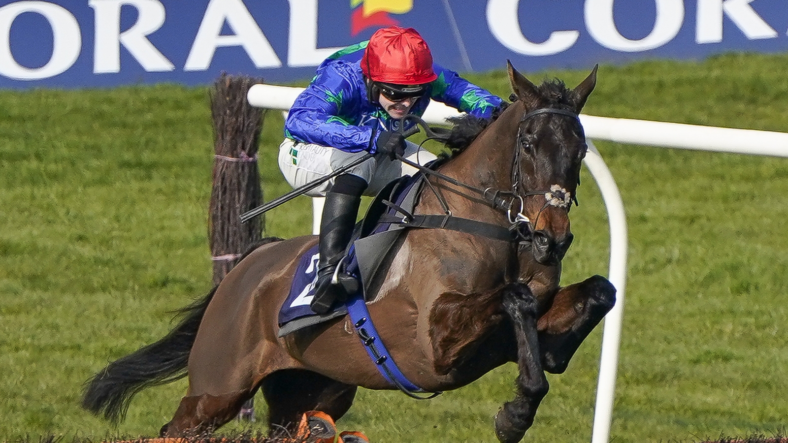 Welsh National favourite Monbeg Genius to miss race