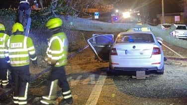 Video | Taxi driver injured after car hit by tree during storm | RTÉ