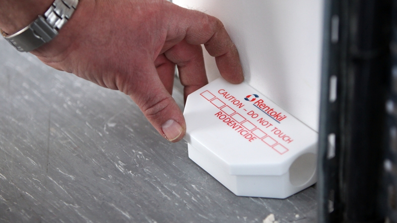 Profits increase seven fold to €9.6m at Rentokil Irelan