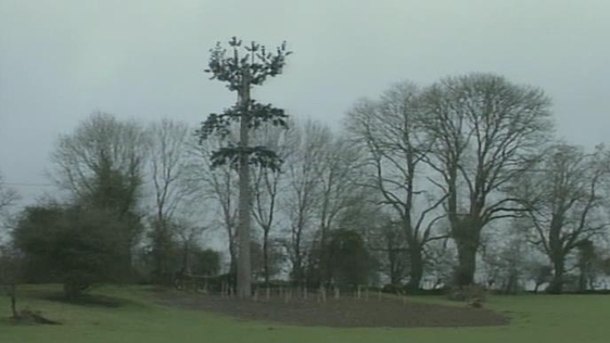 Tree Telephone Mast