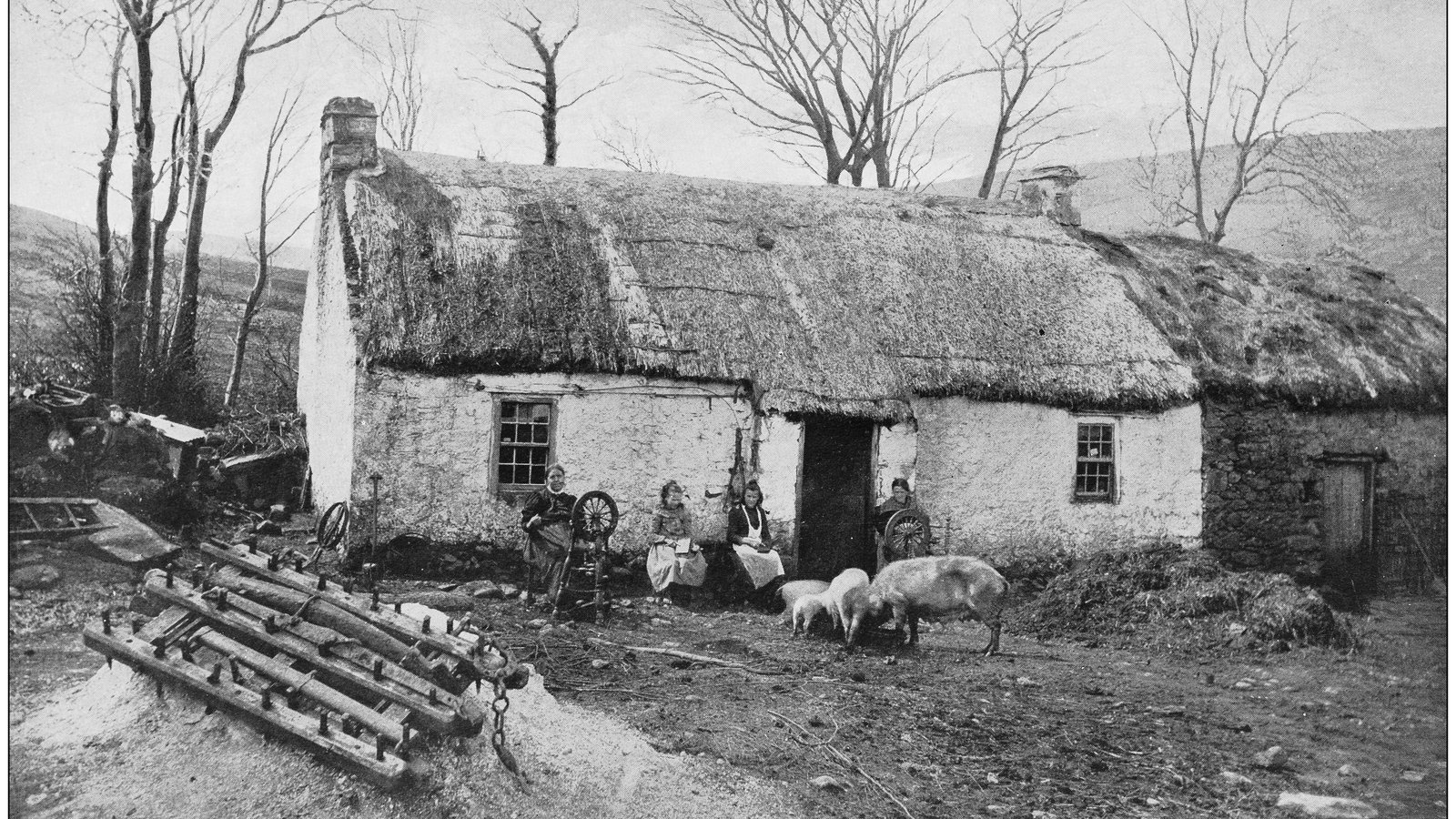 The Year In Ireland: a vital collection of Irish folk customs