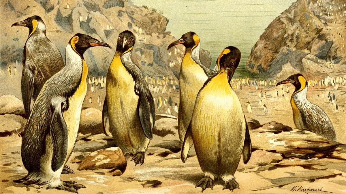 Mooney Goes Wild Monday 29 January 2024 - Mooney Goes Wild