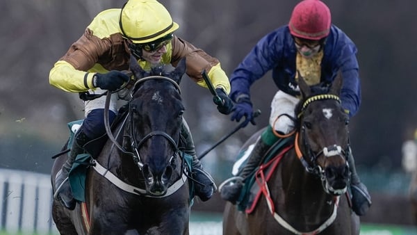 Brassil confident Fastorslow can deliver in Gold Cup