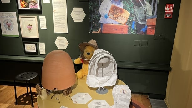 Fascinating history of bees explored in new exhibition