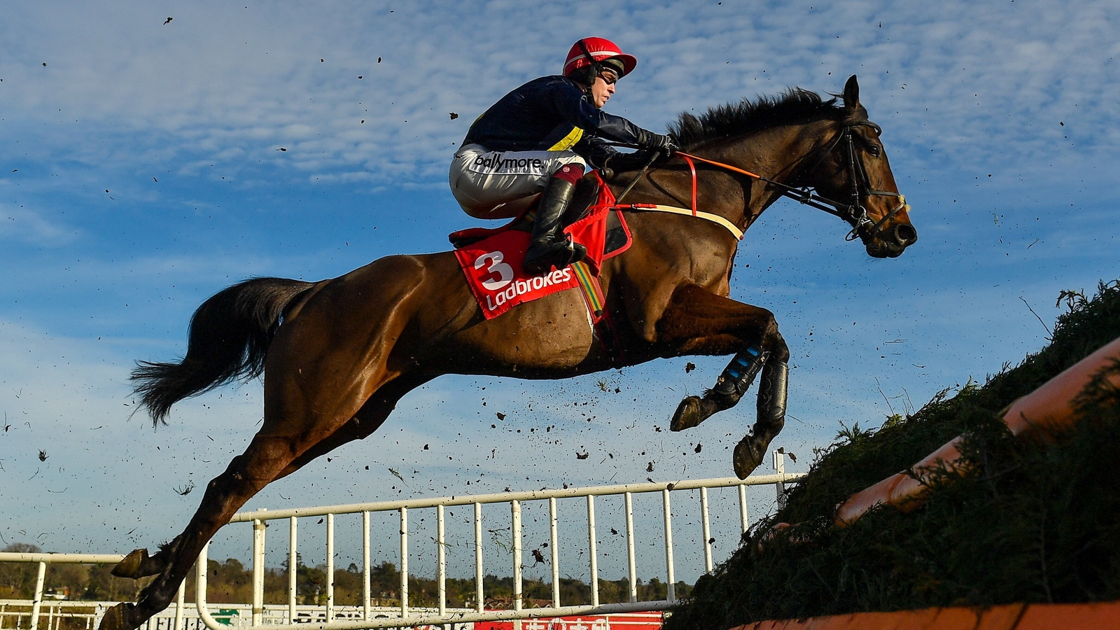 Brassil confident Fastorslow can deliver in Gold Cup