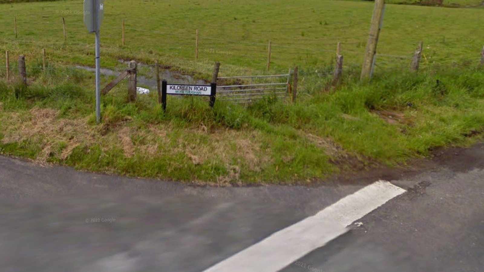 PSNI appeal after 13 pregnant ewes stolen in Derry