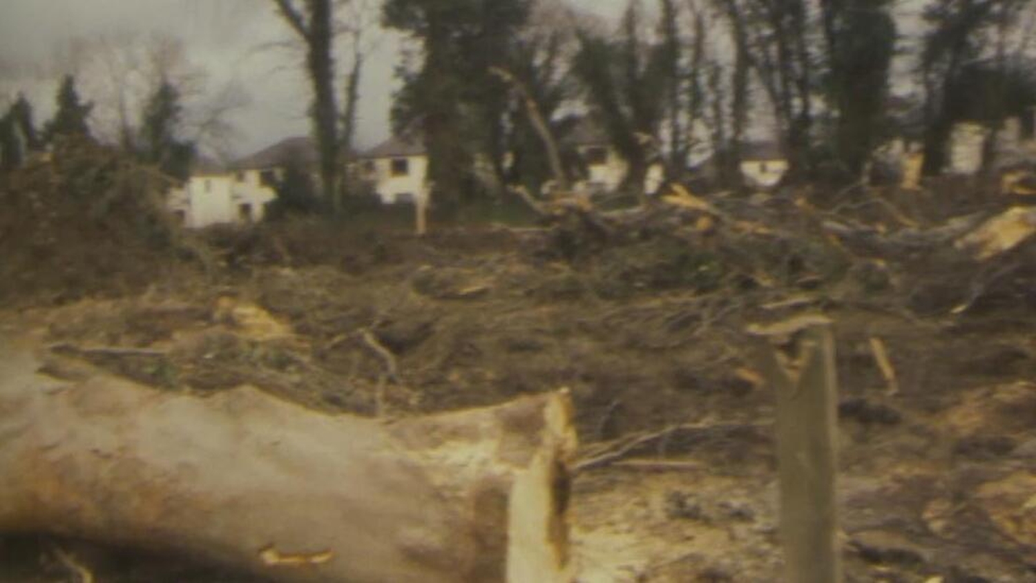 RTÉ Archives | Environment | Tree Felling Protest