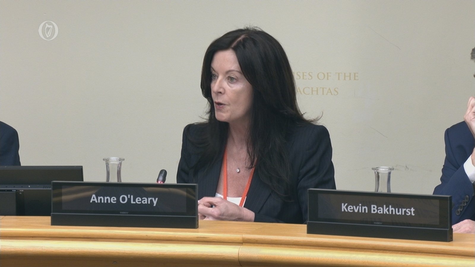 Oversights for RTÉ musical 'deliberately circumvented'