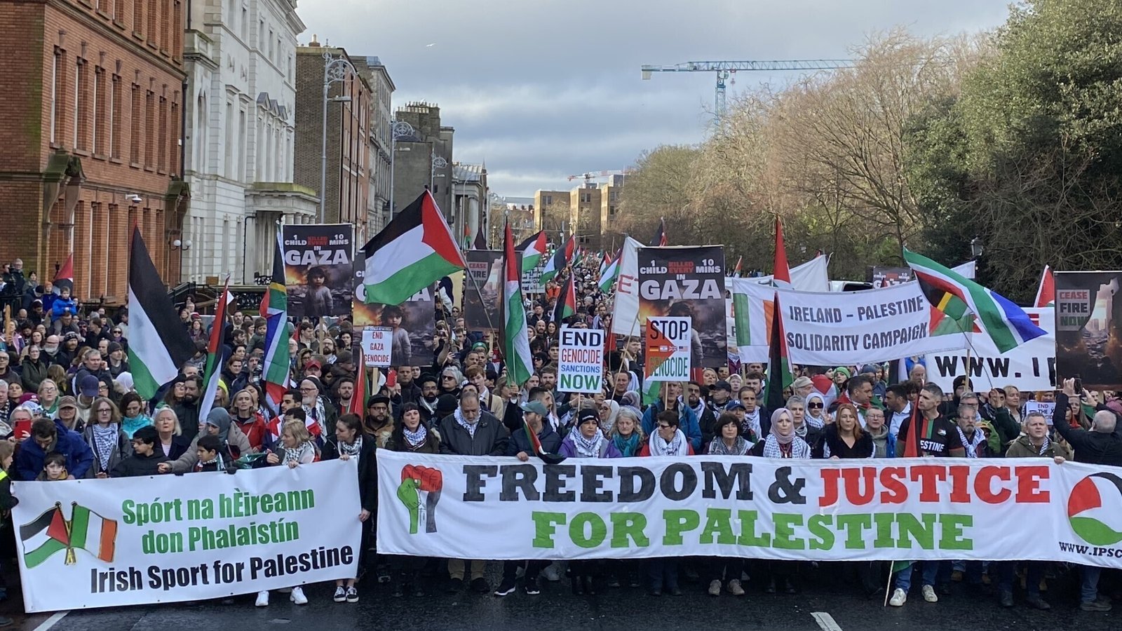 Tens of thousands protest in Dublin over Palestine