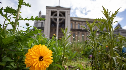 What new surveys reveal about religion and identity in NI