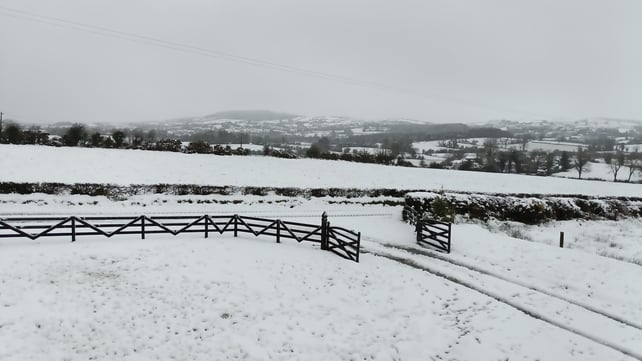 Your photos: Snowy scenes across Ireland