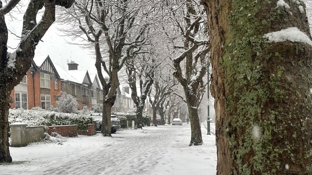 Your photos: Snowy scenes across Ireland