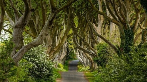 5 Irish hidden gems to explore with someone you love