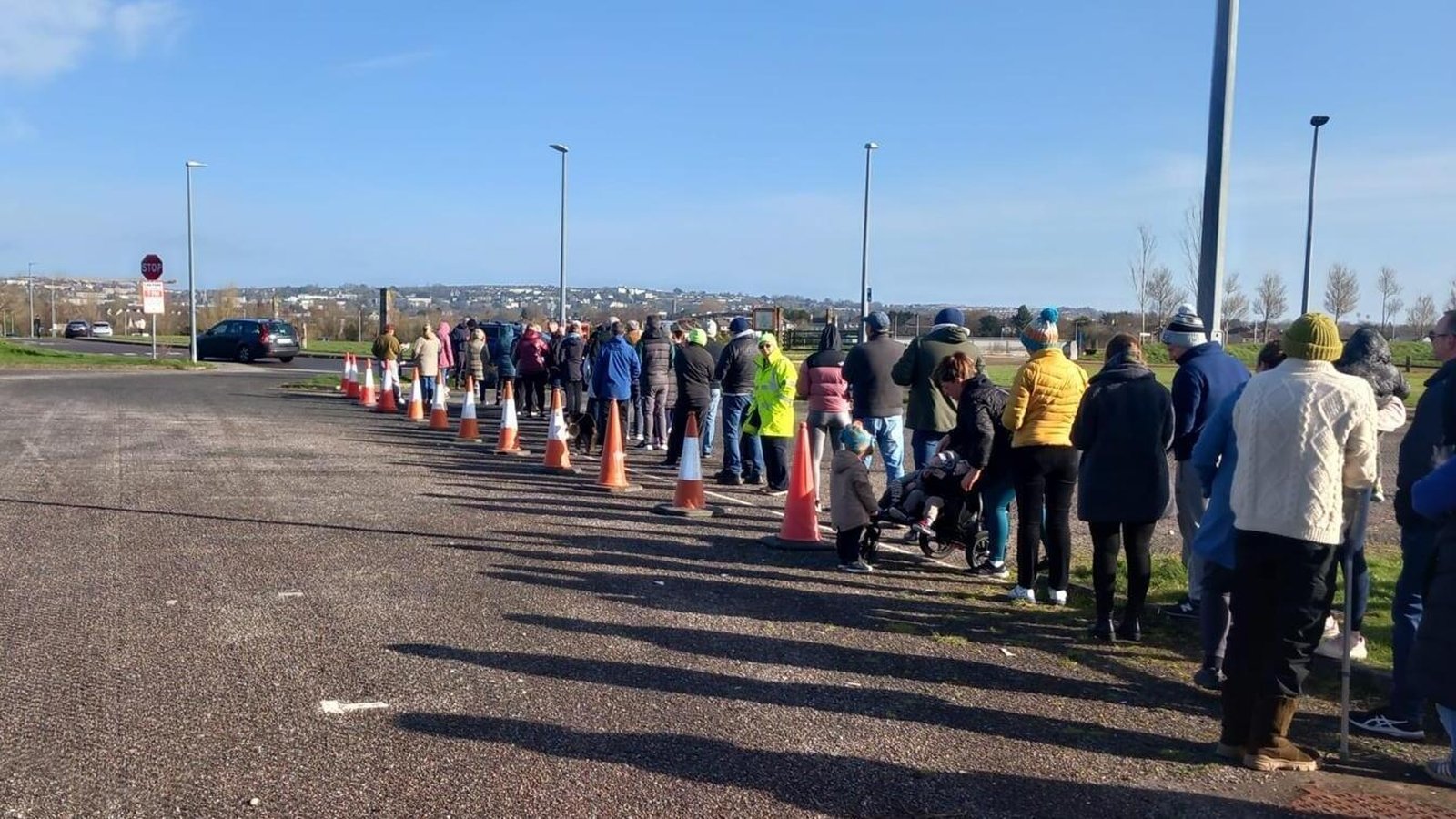 2,500 trees snapped up in Cork council giveaway