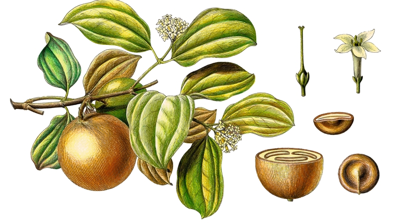 Women who kill: 'female poisoner has been particularly reviled'