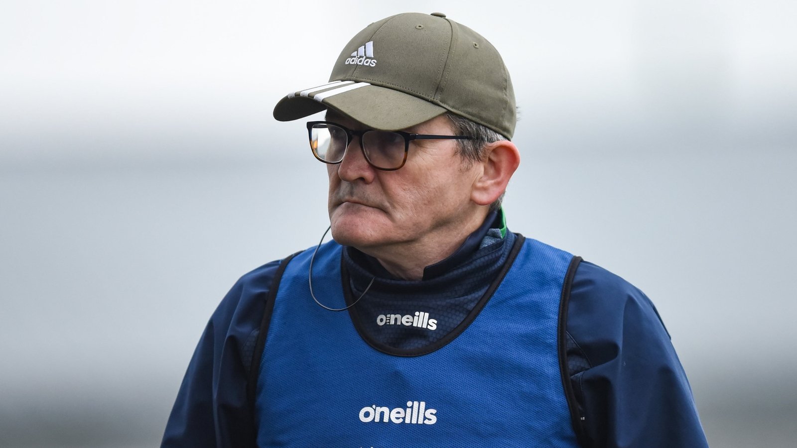 Limerick's Lee sees green shoots despite league showing