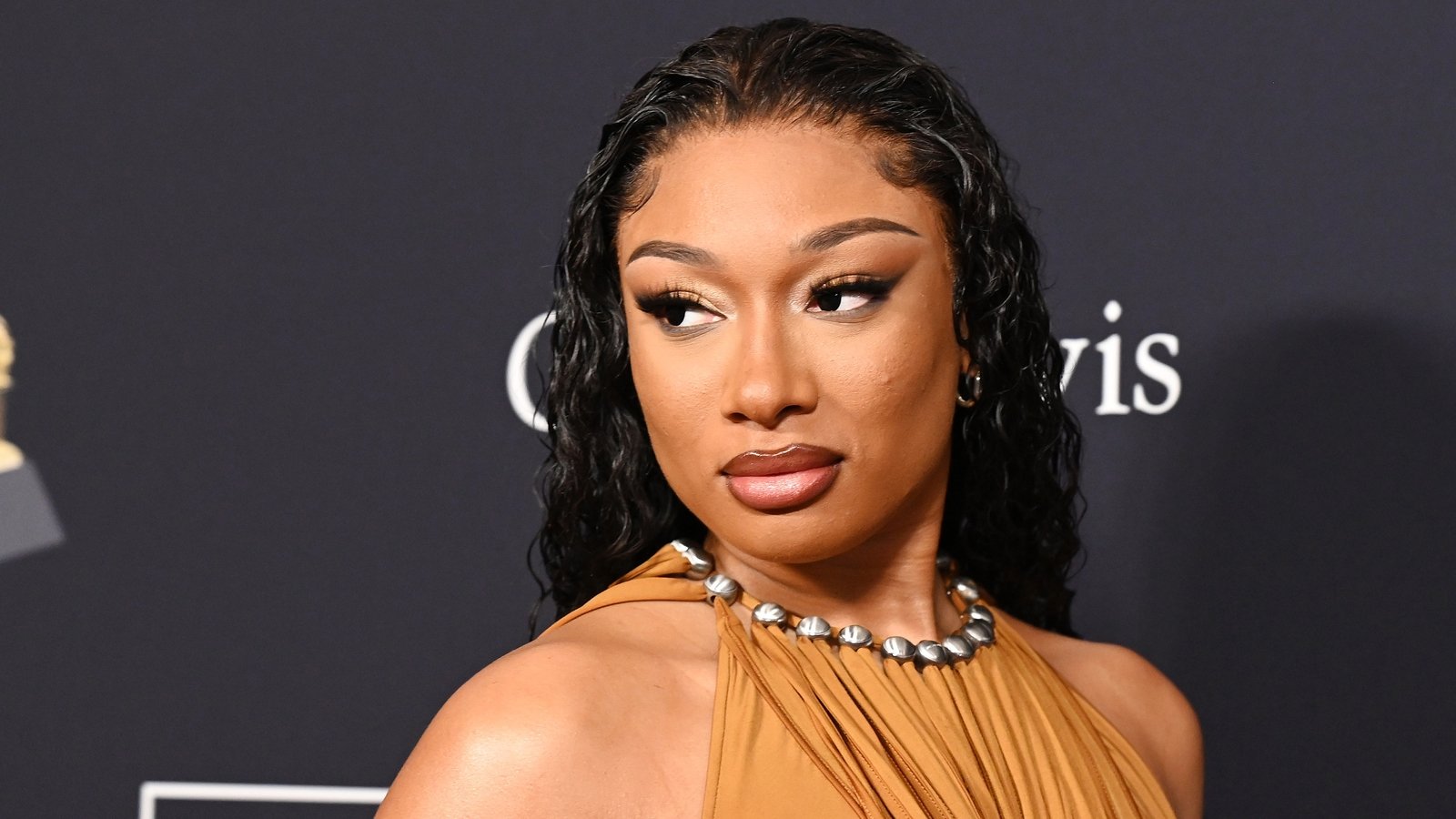 Megan Thee Stallion on aftermath of shooting